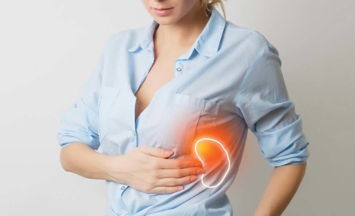 Função do baço no corpo humano - saudedia Função do baço no corpo humano - saudedia